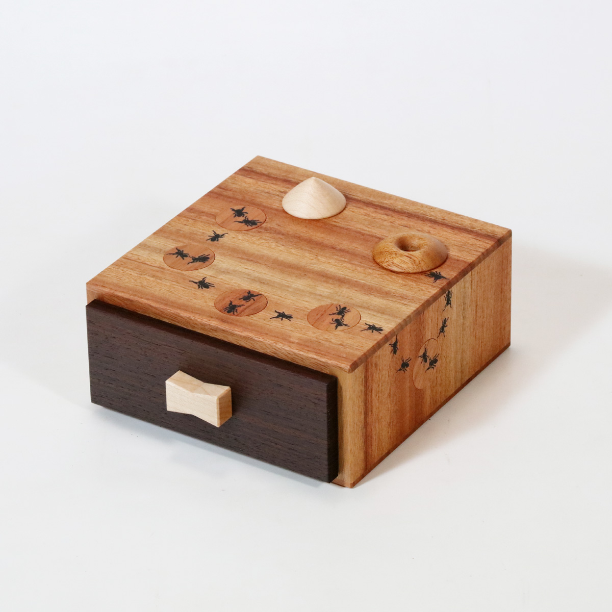 A line of ants | KARAKURI BOX