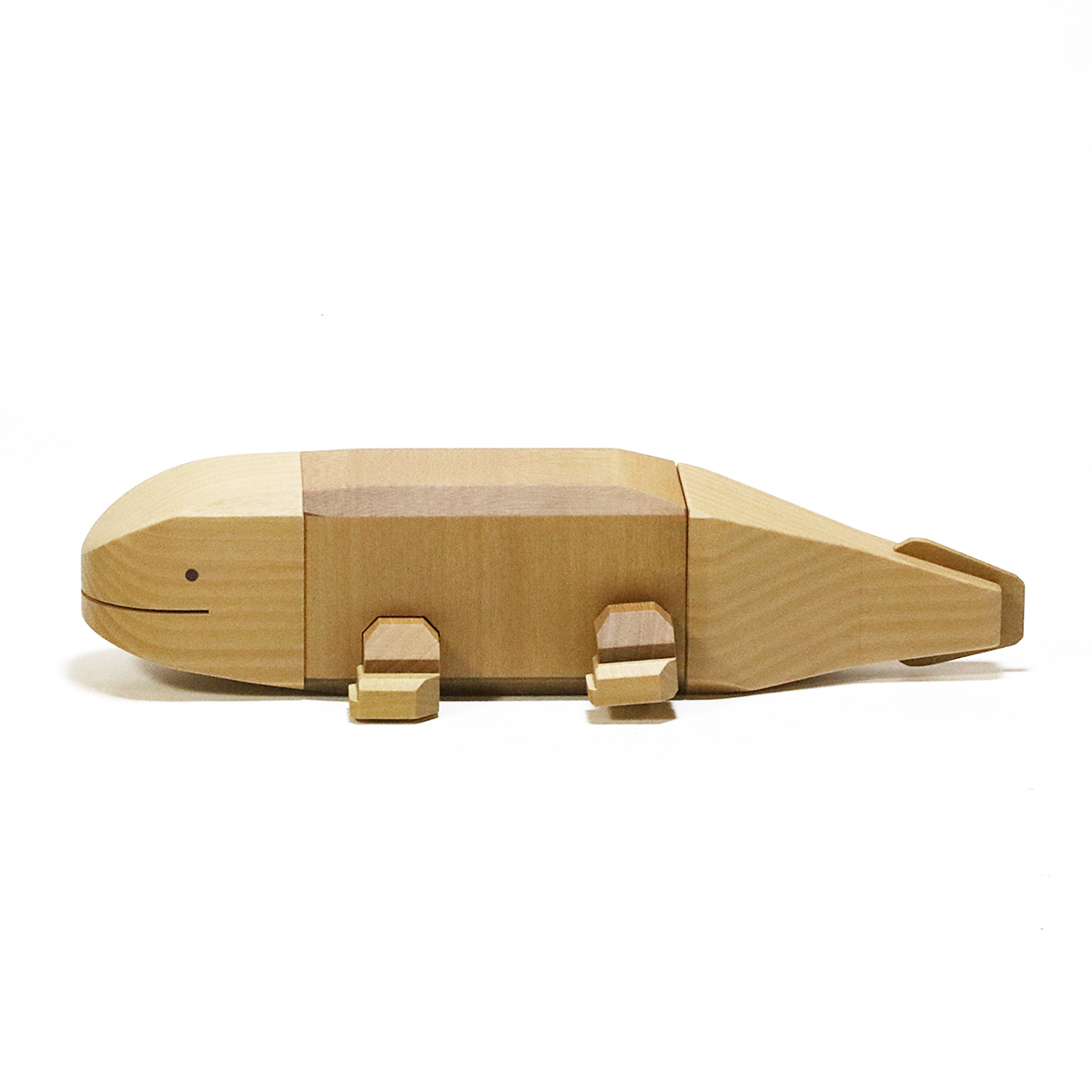 ICHTHYOSTEGA | KARAKURI BOX